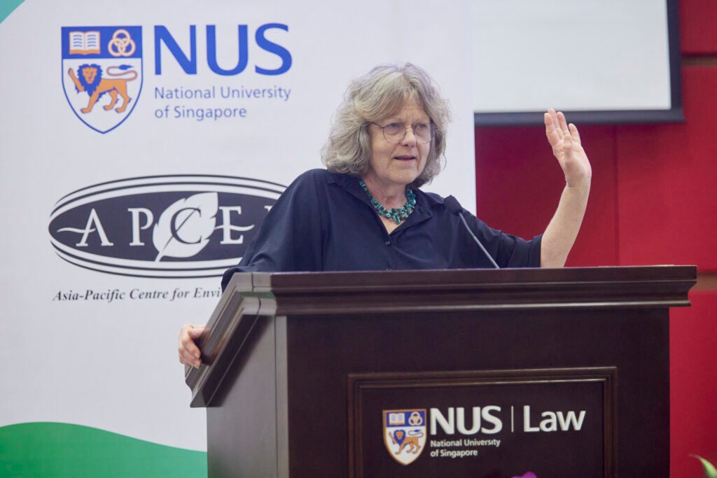 Distinguished Visitor Lecture: Climate Change before the International ...