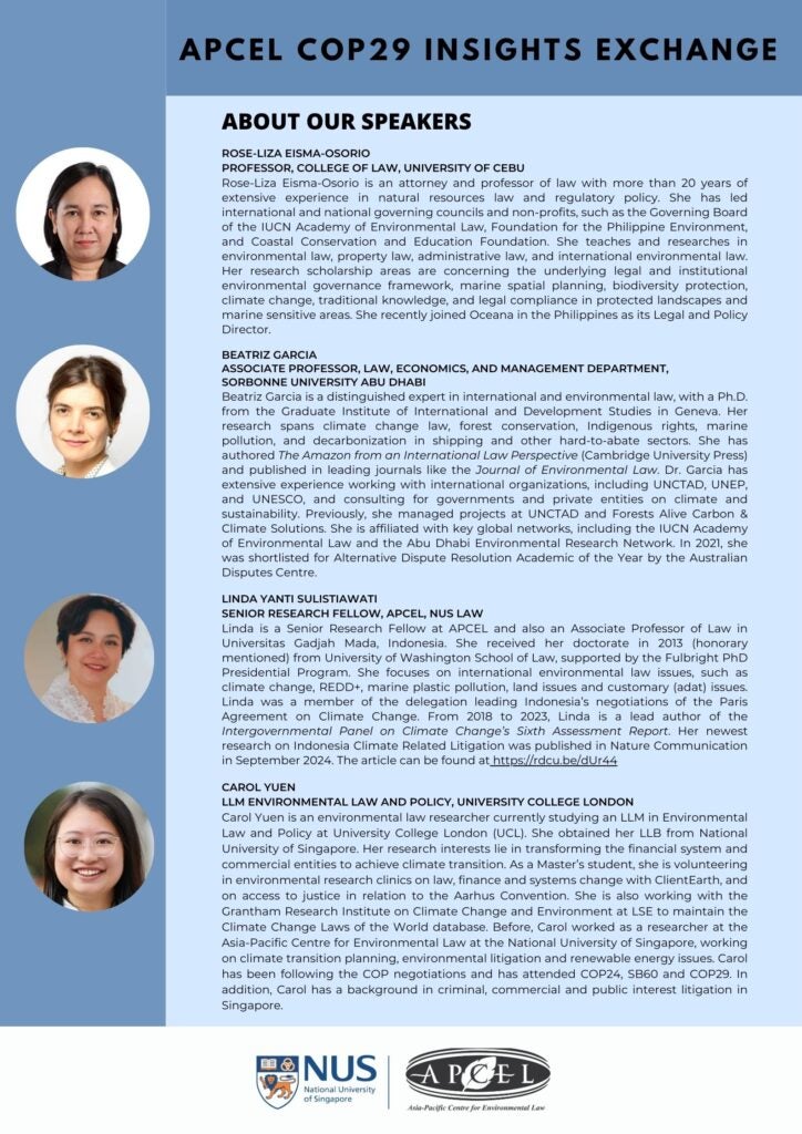 APCEL Roundtable: COP29 Insights Exchange - Asia-Pacific Centre for ...