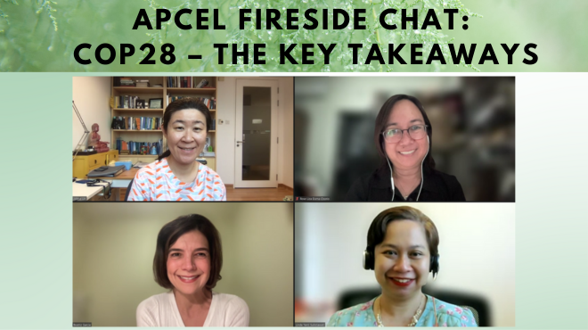 APCEL Fireside Chat: COP28 - The Key Takeaways - NUS Law